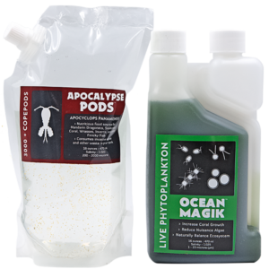 Products Archive | AlgaeBarn | Live Copepods and Phytoplankton
