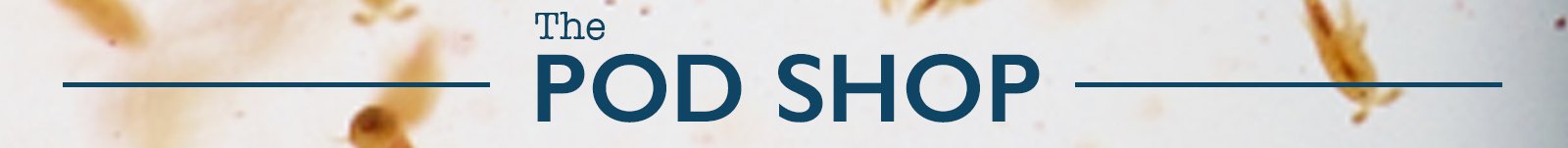 Products – AlgaeBarn | Live Copepods and Phytoplankton