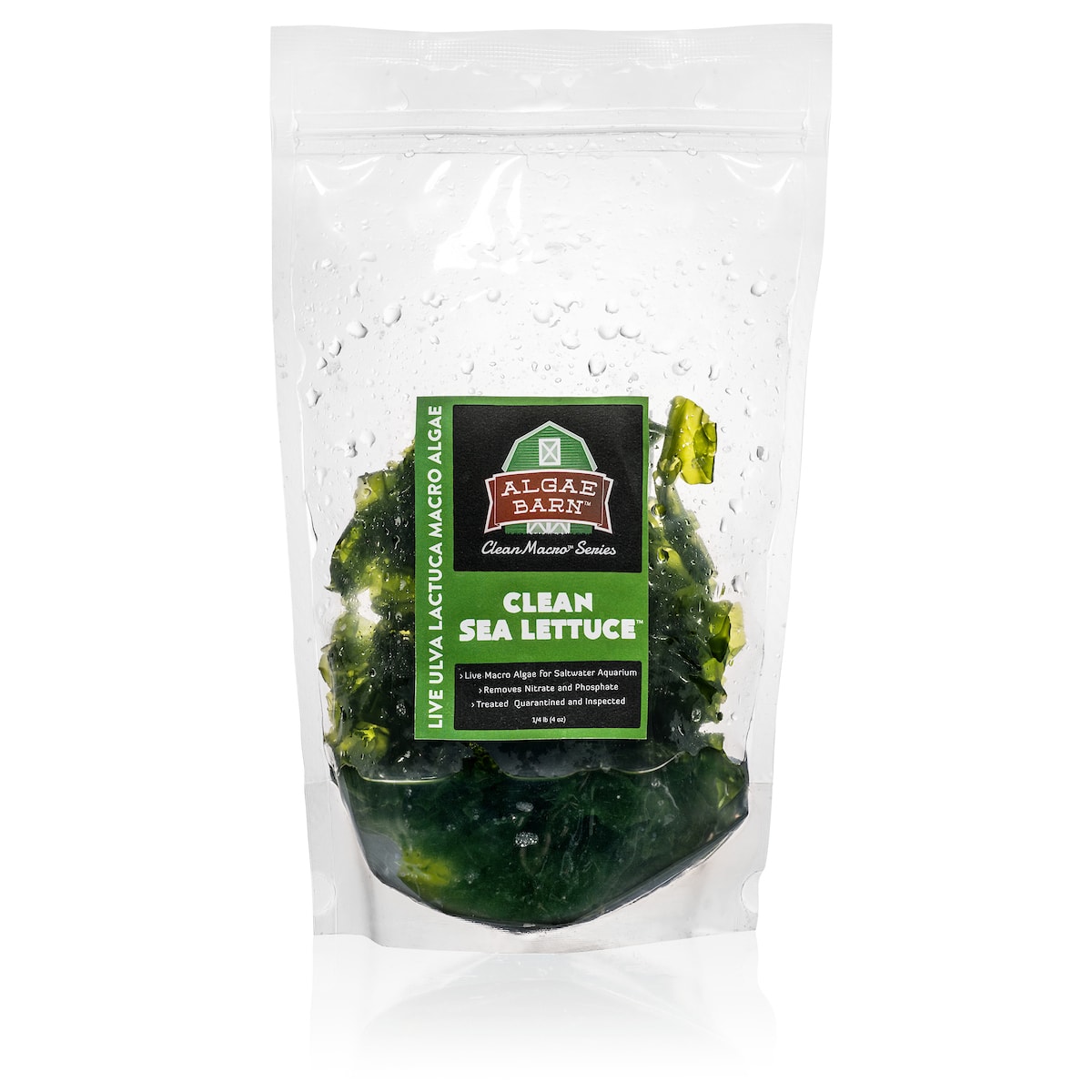 Sea Lettuce (Ulva Lactuca) | Macroalgae | Aquarium Plants - AlgaeBarn