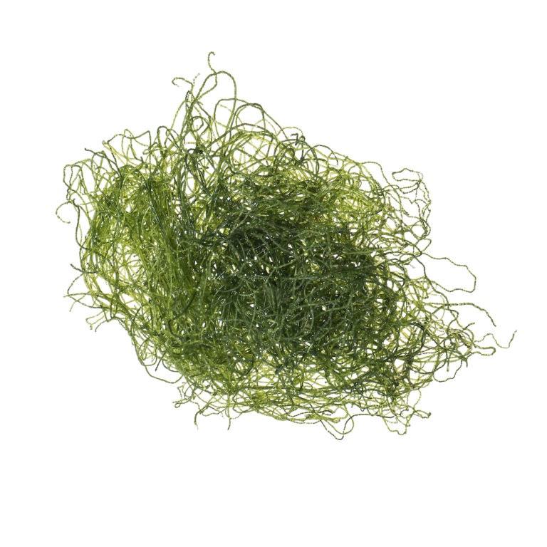 Chaeto for Sale | Macroalgae | Chaetomorpha - AlgaeBarn