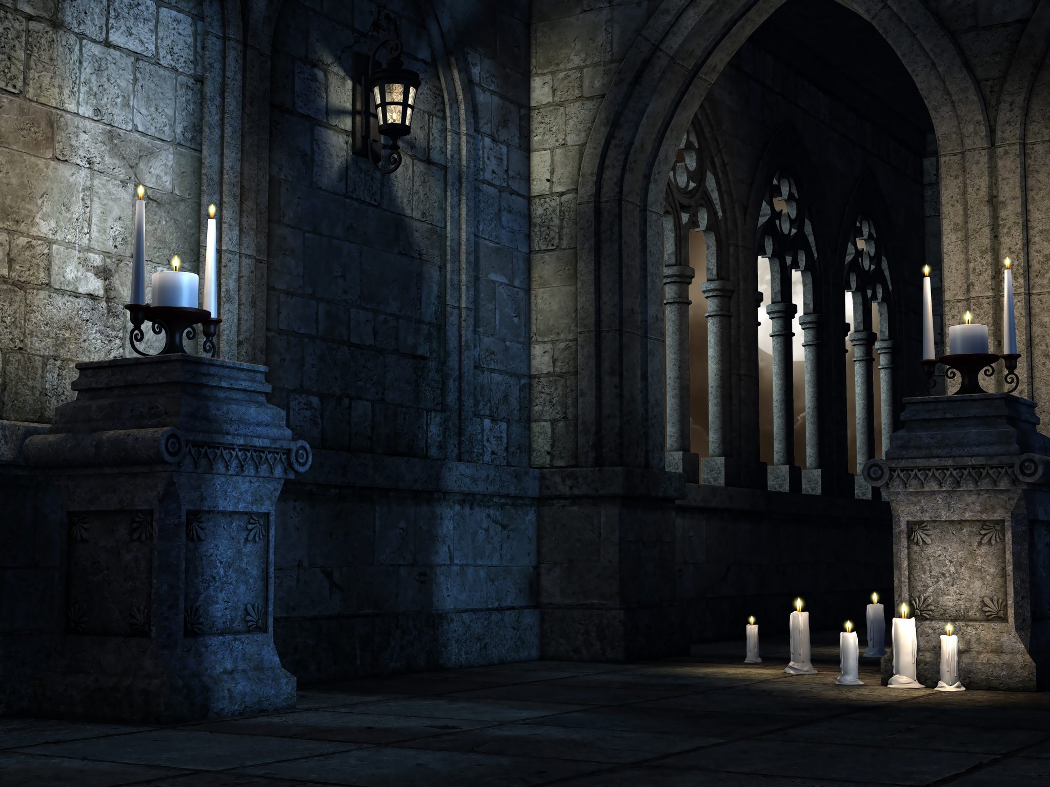 Cryptic Zones in the Refugium | Refugium Education | AlgaeBarn