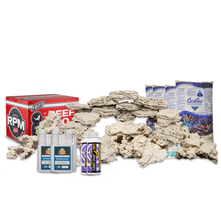 Clam Keeper Kit | Kits and Solutions | AlgaeBarn