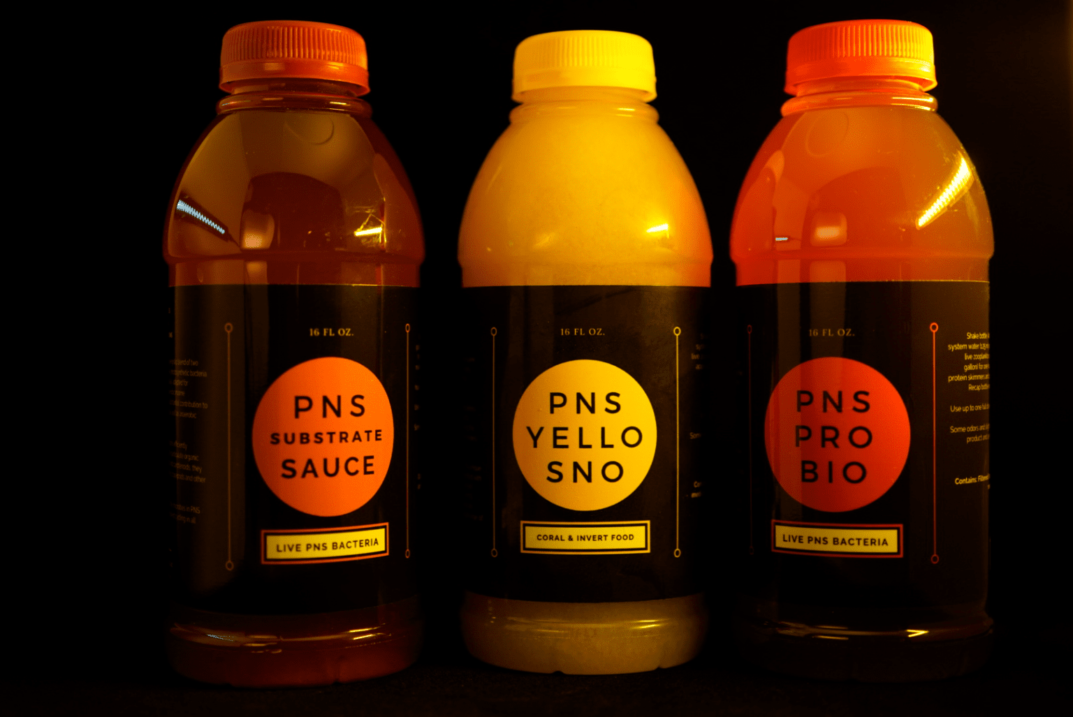 Red Ogo Gracilaria | Macroalgae | Aquacultured Macro Algae - AlgaeBarn