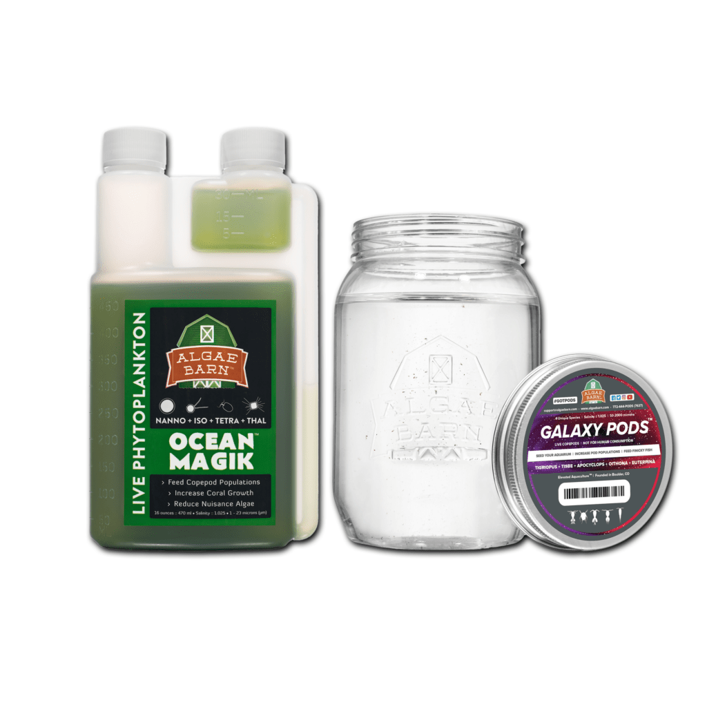 The Major Copepod Groups | Copepods | The Algae Lab